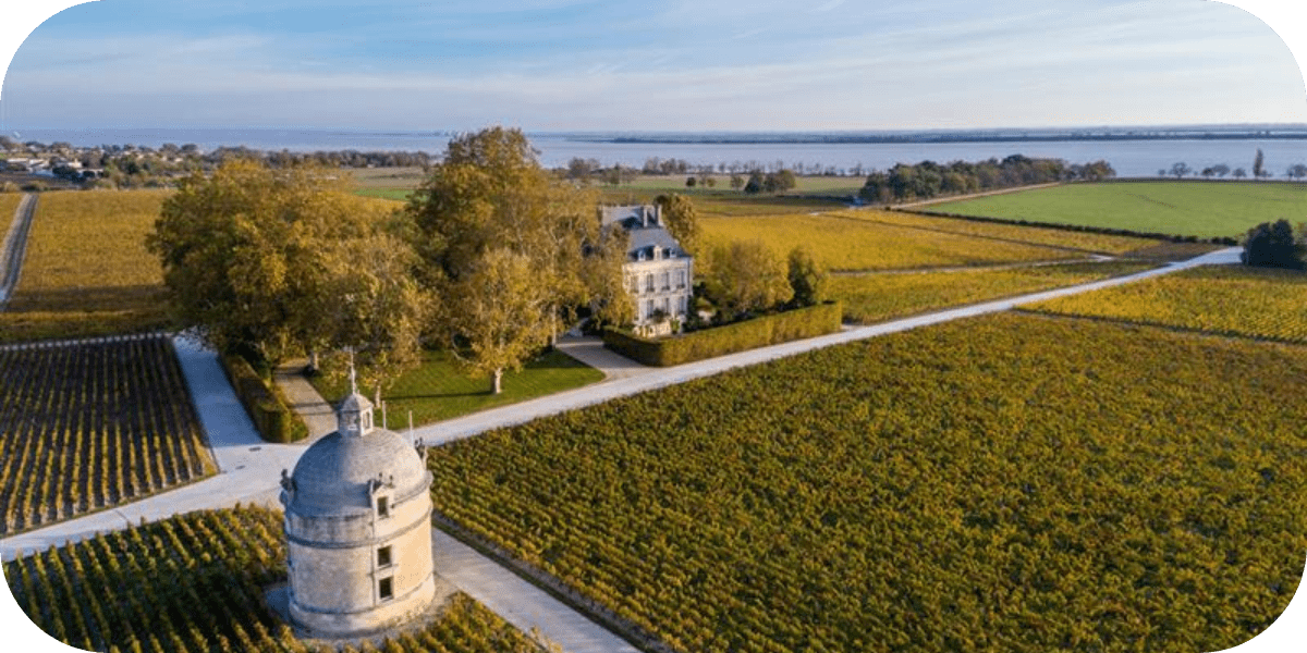 September Releases 2025 - Lay & Wheeler Trading