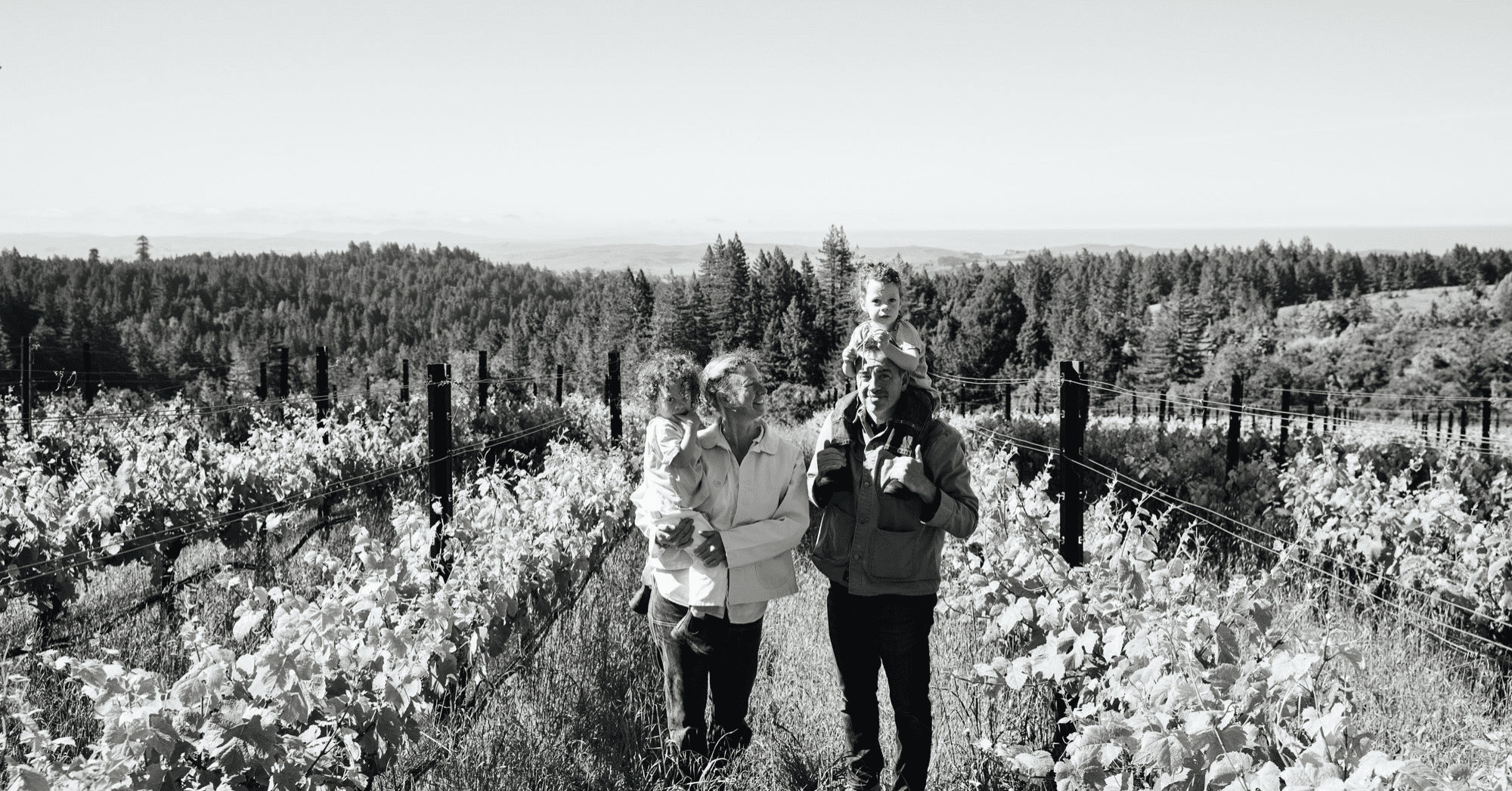 Looking beyond the label | Ceritas - Lay & Wheeler Trading